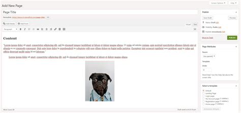 posts creating a page help