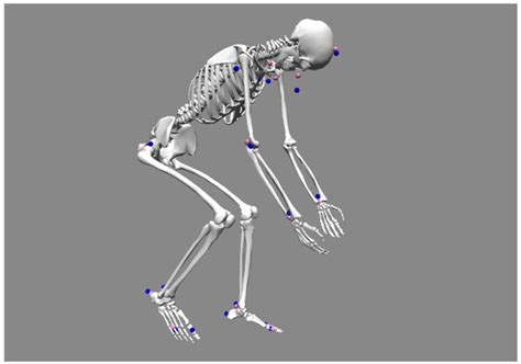Sensors Free Full Text Pose2sim An End To End Workflow For 3d