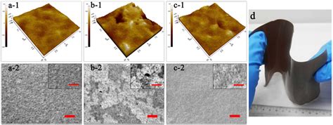 The Structure Of Membrane Selective Layer A P Membrane B Go P
