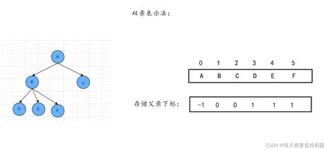 【初阶数据结构】树和二叉树的基本概念和结构二叉树的顺序存储父子关系推导 Csdn博客