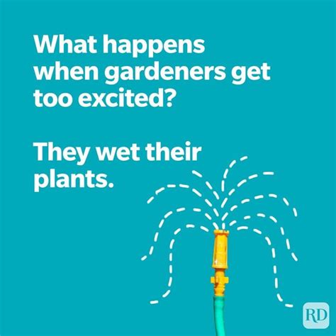 103 Clever Spring Puns Youll Want To Share With Your Buds