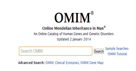 Difference Between Primary And Secondary Database