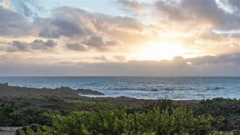 Garapata Imagens Procure 28 Fotos Vetores E Vídeos Adobe Stock