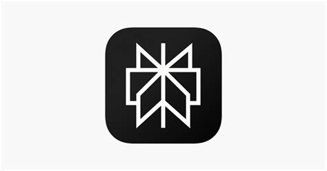 Perplexity Ask Anything On The App Store
