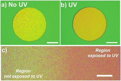 Analysis Of The Pvdf Film Microstructure A Polarized Optical Images Download Scientific