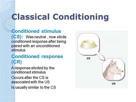 Conditioned Response In Psychology