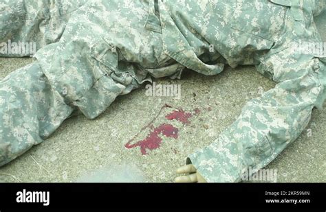 Sniper Dead Stock Videos And Footage Hd And 4k Video Clips Alamy