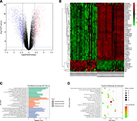 Identification Of Degs And Functional Annotation A The Degs Were Download Scientific Diagram