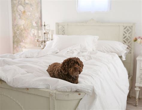 Shabby Chic The Official Rachel Ashwell Shabby Chic Couture Site