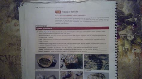 Solved 174 10 6 Types Of Fossils S Describe Several