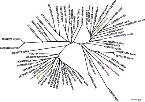 Discovery Of A Dipeptide Epimerase Enzymatic Function Guided By Homology Modeling And Virtual