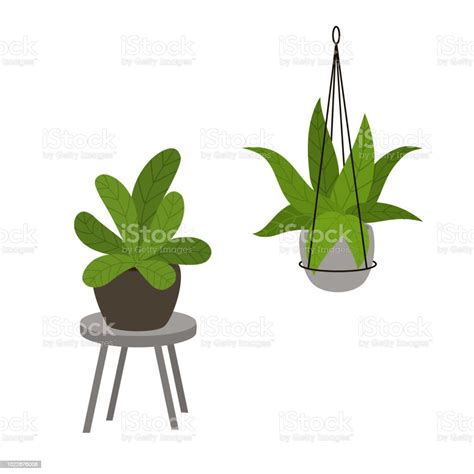현대 서 및 농장 주 벡터 일러스트 레이 션을 매달려 장식 냄비에 추상 단풍 Houseplants 20세기 풍의에 대한 스톡 벡터 아트 및 기타 이미지 Istock