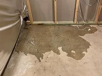 Amazon Com Ecolink Zwave Plus Flood Freeze Sensor White FLF ZWAVE ECO Electronics