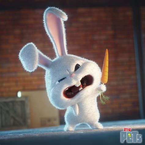 The Secret Life Of Pets Movie Hq The Secret Life Of Pets Snowball