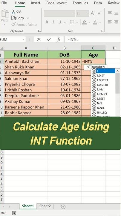 Age Calculation In Excel Using Int Function Excel Msexcel
