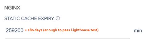 Serve Static Assets With An Efficiently Cache Policy In WordPress