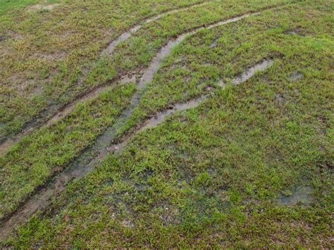 Fall Lawn Care Why Aeration Is A Must