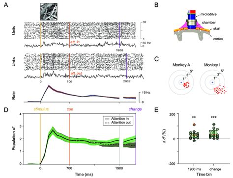 Neuronal Population Recordings From Primary Visual Cortex During An