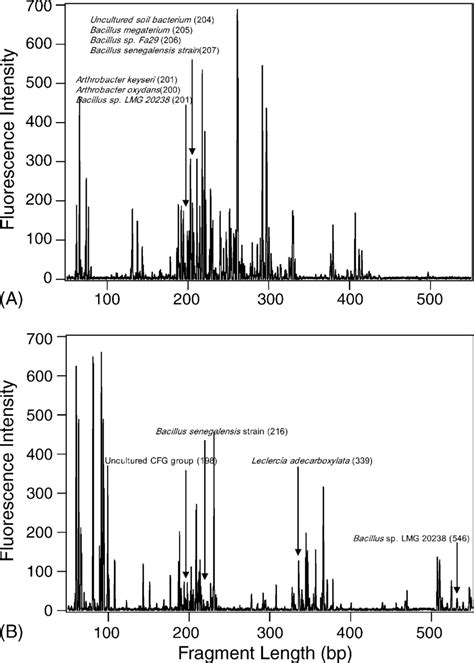 terminal restriction fragment length polymorphism t rflp profiles
