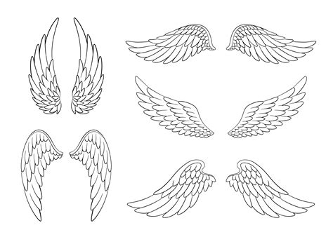 Angel Wings Drawing Reference Online Offer