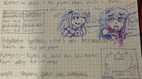 My Ap Bio Notes For Ap Season Coming Up Lol Rkonosuba