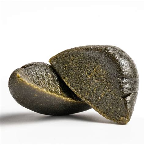 Hash Bash 2025 Returns To Ann Arbor This April Chronic Guru