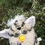 Ecto Furby Forby Tumblr Com Tumbex