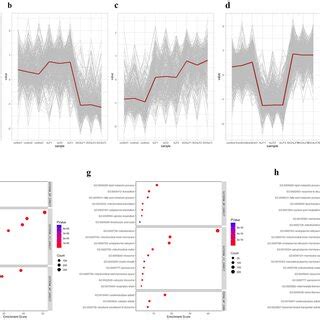 Hierarchical Clustering Heatmap Revealed Five Distinct Temporal Download Scientific Diagram