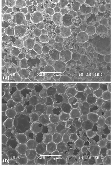 Sem Micrographs Showing Cell Structure Of A Pur 75 B Pur 150