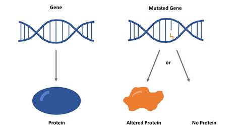 Genetic Testing For Inherited Retinal Diseases Fighting Blindness Canada Fbc