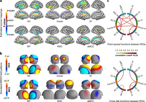 Simulated M Eeg And Analysis Of Spread A B The Data Represent An