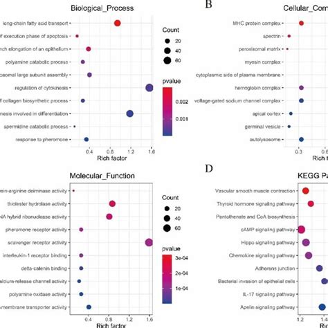 Functional Annotation Of De Circrna Target Genes A Biological Download Scientific Diagram