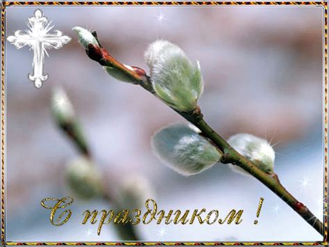 Анимационная картинка открытка С Праздником Ветка вербы Гиф 209624