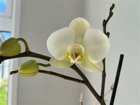 Gayan M On Linkedin Timeline Weekend Commits Nature Hub