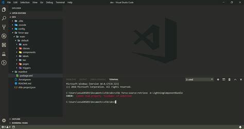 LWC Retrive Issue With Sfdx Issue Forcedotcom Cli GitHub