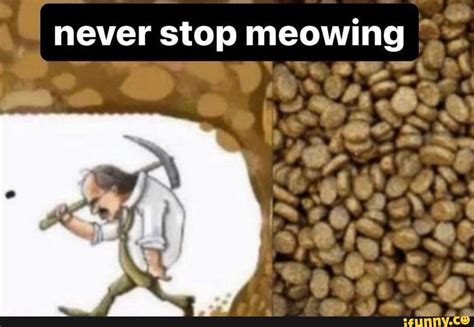 Triggered When She Receives This Mark She Is Programmed To Rcact To 2 Different Phrases Every