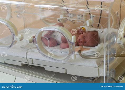 Neonatal Incubator