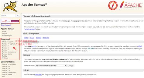 tomcat安装教程 yocichen 博客园
