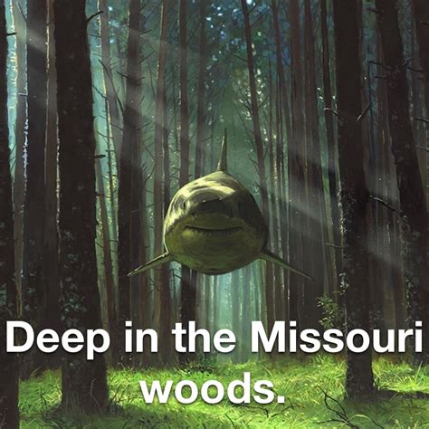 Shark In The Woods Image Gallery List View List View Know Your Meme