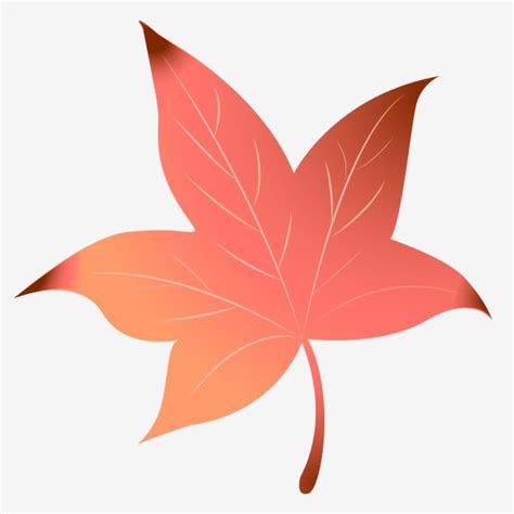 붉은 단풍 나무 잎 봄 식물 잎 붉은 단풍 나무 잎 녹색 식물 그림 메이플 리프 클립 아트 붉은 단풍 봄 식물 잎 Png 일러스트 및 벡터 에 대한 무료 다운로드