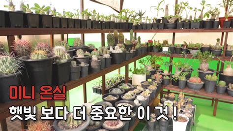 옥상 온실 만드는 중 가장 중요하게 신경 써야 하는 것은 무엇일까요 Youtube