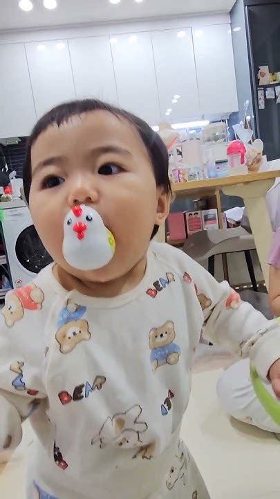 아기병아리 Youtube