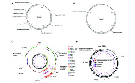 Circular Map Of The Small Download Scientific Diagram