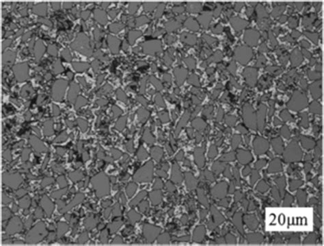 Microstructure Of The Sicp Al Composite [19] Download Scientific Diagram