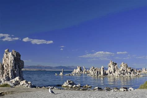 Can You Swim In Mono Lake All You Need To Know Lake Access