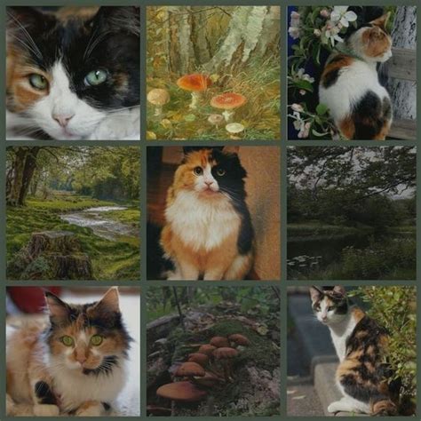 LF Sonic Ocs Always Open On Toyhouse