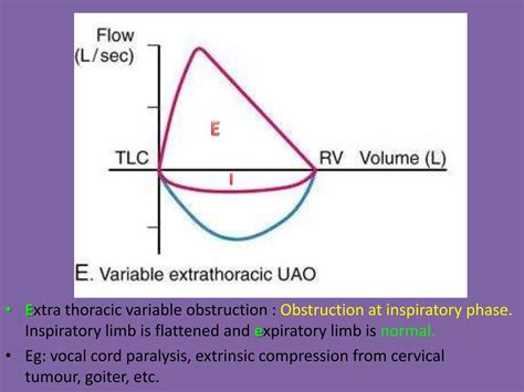 Pulmonary Flow Volume Loops Dr Padmesh Pptx Lung And Respiratory Health Diseases And