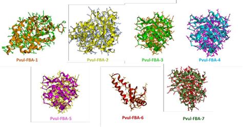3d Structure Modeling Of Pvul Fba Proteins Download Scientific Diagram