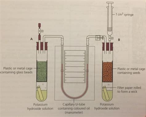 Core Practical 9 Respirometer Flashcards Quizlet