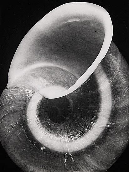 Alfred 1901 Ehrhardt Swann Galleries